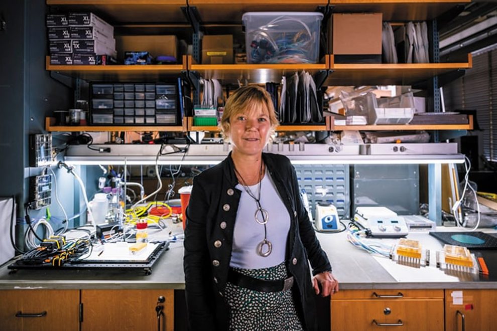 Home • The MIT Center for Gynepathology Research